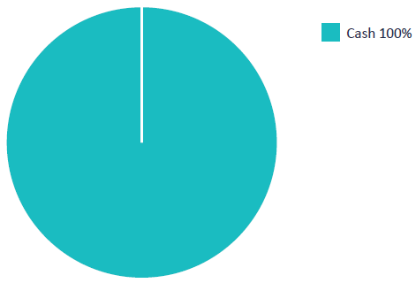 CSC Target Asset Allocation
